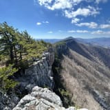 North Fork Mountain Trail to Chimney Top, West Virginia - 1,865 Reviews ...