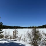 Spooner Lake Trail, Nevada - 1,777 Reviews, Map | AllTrails