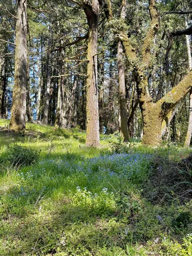 Best Moderate Trails in Wunderlich County Park | AllTrails