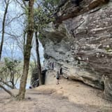 Raven Rock Loop Trail, North Carolina - 2,458 Reviews, Map | AllTrails