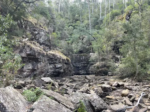 Best Hikes and Trails in Mole Creek Karst National Park | AllTrails