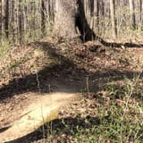 Bacon Ridge Trail: Phase 3, Maryland - 2,308 Reviews, Map | AllTrails