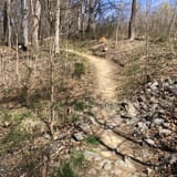 Bacon Ridge Trail: Phase 3, Maryland - 2,308 Reviews, Map | AllTrails