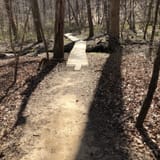 Bacon Ridge Trail: Phase 3, Maryland - 2,308 Reviews, Map | AllTrails