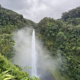 Akaka Falls Trail, Hawaii, Hawaii - 1,738 Reviews, Map | AllTrails