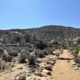 Ryan Mountain, California - 7,287 Reviews, Map | AllTrails