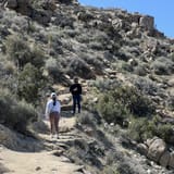 Ryan Mountain, California - 7,287 Reviews, Map | AllTrails