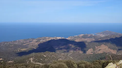 Best Hikes and Trails in Massane Forest Nature Reserve | AllTrails