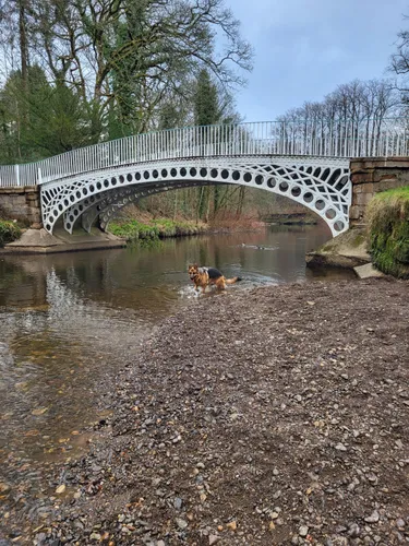 Best Hikes and Trails in Linn Park | AllTrails