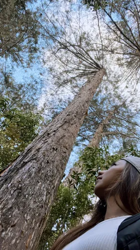 Best Easy Trails in Parque Arví | AllTrails