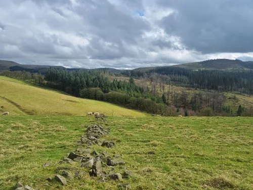 Best Hikes and Trails in Macclesfield Forest | AllTrails