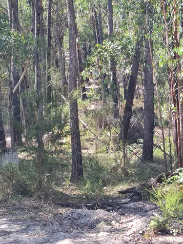 Best Hikes and Trails in Moondarra State Park | AllTrails