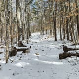Red Hill Fire Tower Loop Trail, New Hampshire - 1,317 Reviews, Map ...