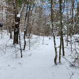 Red Hill Fire Tower Loop Trail, New Hampshire - 1,331 Reviews, Map ...