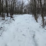 Red Hill Fire Tower Loop Trail, New Hampshire - 1,331 Reviews, Map ...