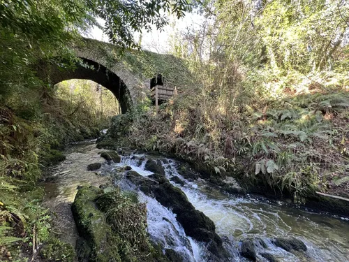 10 Best Trails and Hikes in County Cavan | AllTrails
