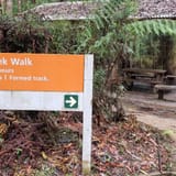 Ada Tree Walk, Victoria, Australia - 56 Reviews, Map | AllTrails