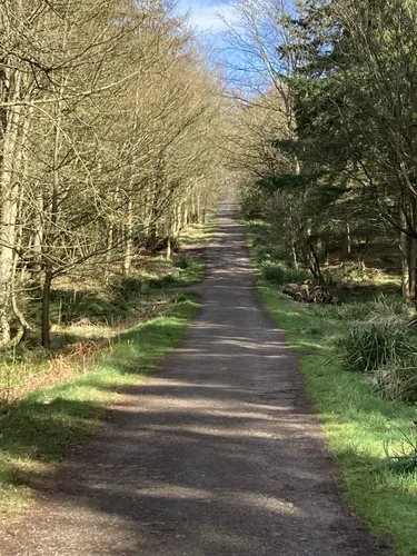 Best Hikes and Trails in Gibside | AllTrails