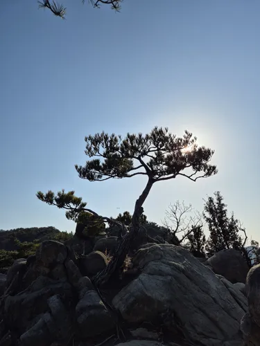 Best Historic Site Trails in Gwanak-gu | AllTrails