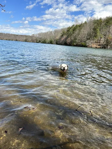 Best Easy Trails in Prettyboy Reservoir Park | AllTrails