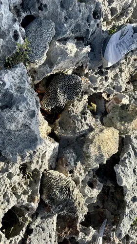 Best Hikes and Trails in Anguilla | AllTrails