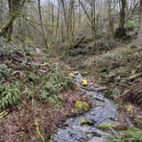 Dash Point Trail, Washington - 1,259 Reviews, Map | AllTrails