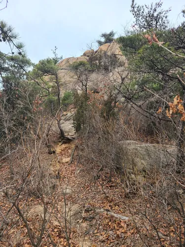 Best Historic Site Trails in Gwanak-gu | AllTrails