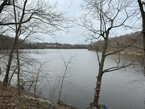 Best Hikes and Trails in Lake Ridge Community Park | AllTrails