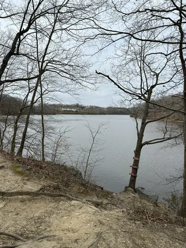 Best Hikes and Trails in Lake Ridge Community Park | AllTrails