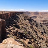 Honaker Trail, Utah - 94 Reviews, Map | AllTrails