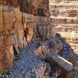 Honaker Trail, Utah - 94 Reviews, Map | AllTrails