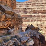 Honaker Trail, Utah - 94 Reviews, Map | AllTrails