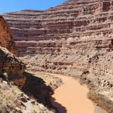 Honaker Trail, Utah - 94 Reviews, Map | AllTrails