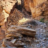Honaker Trail, Utah - 94 Reviews, Map | AllTrails