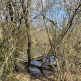 The Ridges Loop Trail, Ohio - 459 Reviews, Map | AllTrails