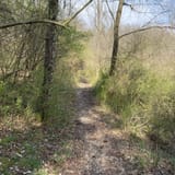 The Ridges Loop Trail, Ohio - 459 Reviews, Map | AllTrails