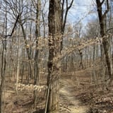 The Ridges Loop Trail, Ohio - 459 Reviews, Map | AllTrails