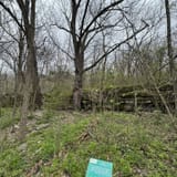 Tanyard Perimeter Loop, Arkansas - 2,602 Reviews, Map | AllTrails