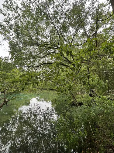 Ellie Schiller Homosassa Springs Wildlife State Park: de beste routes ...