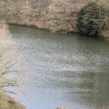 Linacre Reservoirs Circular, Derbyshire, England - 310 Reviews, Map ...