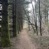 Cape Horn Loop Trail, Washington - 4,391 Reviews, Map | AllTrails