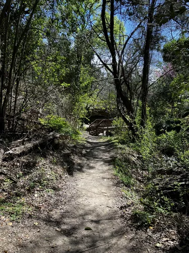 Best Hikes and Trails in Copperfield Park | AllTrails