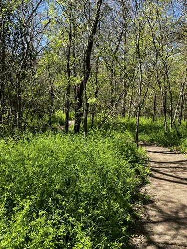 Best Hikes and Trails in Copperfield Park | AllTrails
