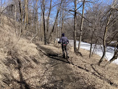 Best Snowshoeing Trails in Turtle River State Park | AllTrails