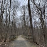 Hop River State Park Trail, Connecticut - 477 Reviews, Map | AllTrails