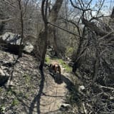 Quail Trail Loop, Utah - 287 Reviews, Map | AllTrails