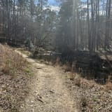 Sycamore Trail Loop, North Carolina - 1,645 Reviews, Map | AllTrails