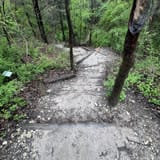 Cedar Ridge Outer Loop, Texas - 1,971 Reviews, Map | AllTrails