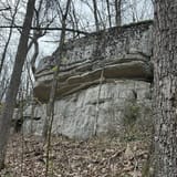 Tinker Cliffs via Andy Layne Trail, Virginia - 1,668 Reviews, Map ...