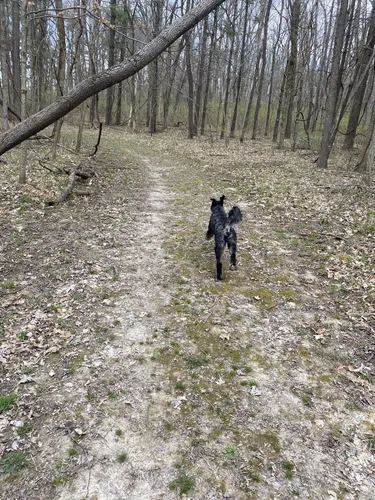 Best Hikes and Trails in Walnut Point State Park | AllTrails